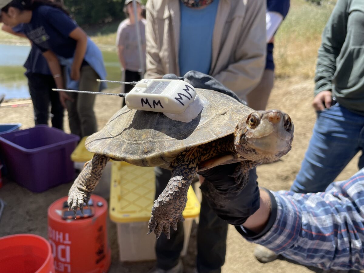 Alameda County Resource Conservation District (ACRCD) – A partnership ...